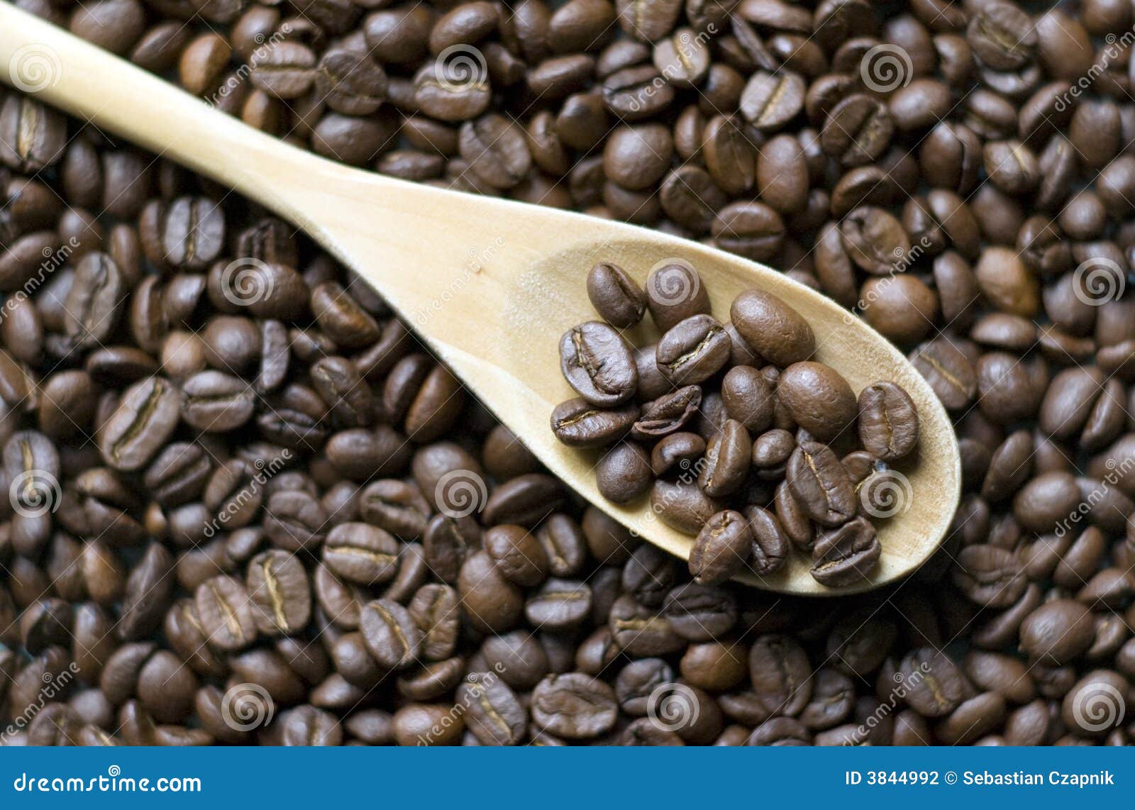 Coffee beans on spoon stock photo. Image of caffeine, heaped - 3844992