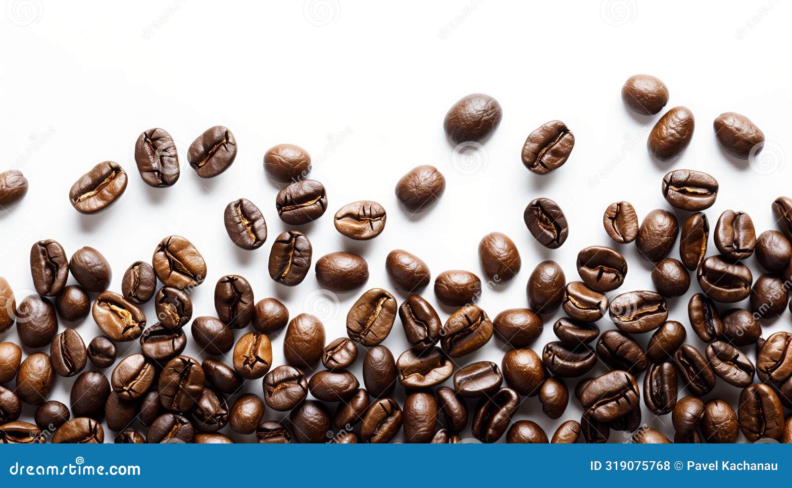 Coffee Beans Spread Out on a Clean White Surface Stock Photo - Image of ...
