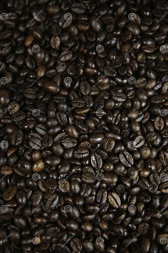 Coffee Beans. Coffee Beans are Spread Out on the Surface. Stock Image ...