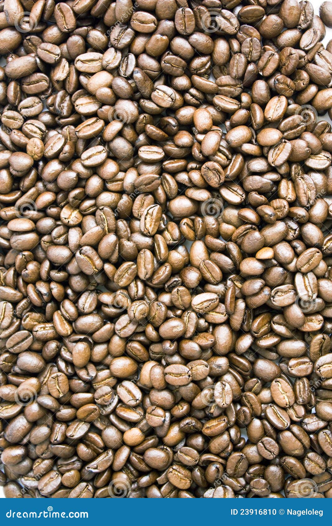 Coffee beans texture stock photo. Image of energy, mocha - 23916810