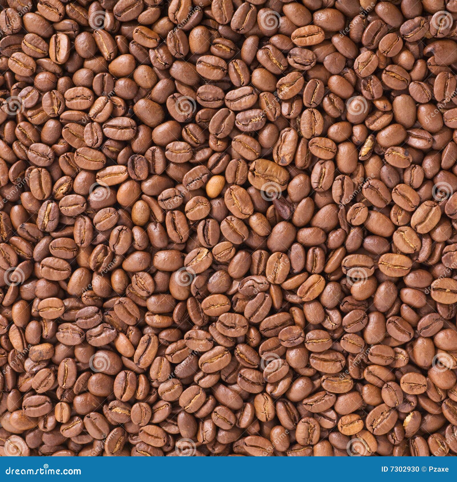 Coffee beans texture stock photo. Image of abstract, grain - 7302930