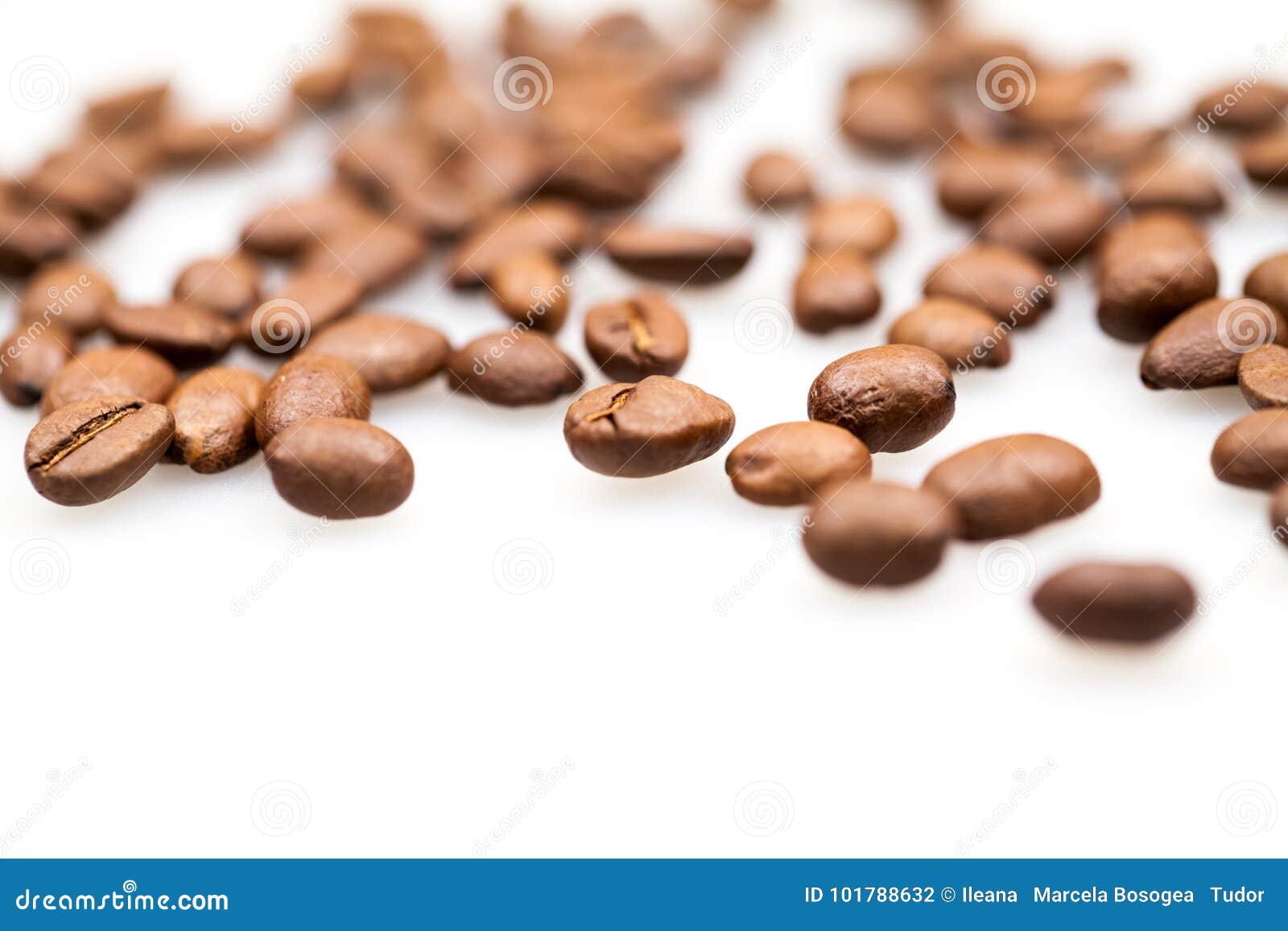 Coffee beans texture stock photo. Image of food, bean - 101788632