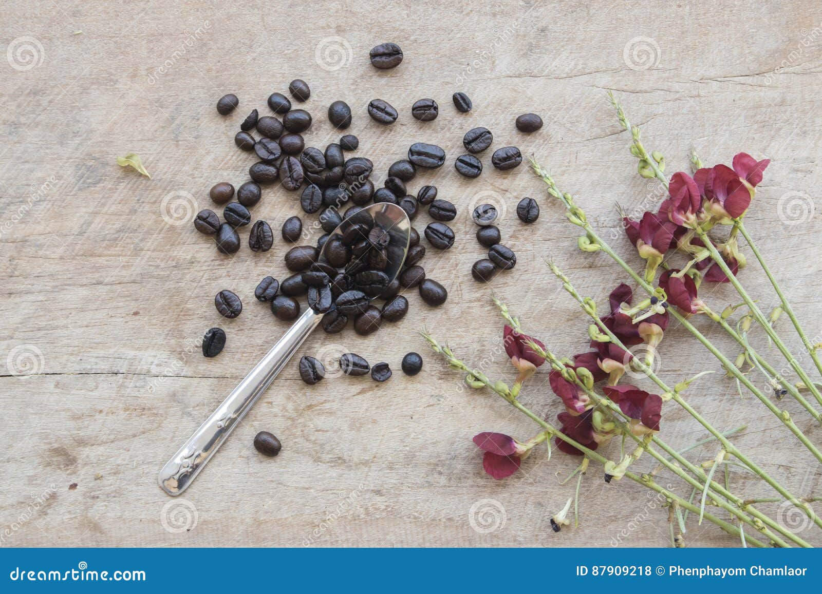 Coffee Beans To Roast Prepare Pulp for Make Coffee Stock Photo - Image ...