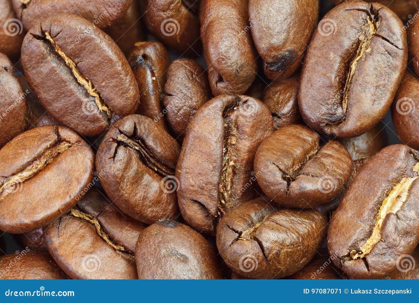 Coffee Beans Under Microscope Stock Image - Image of bean, grain: 97087071
