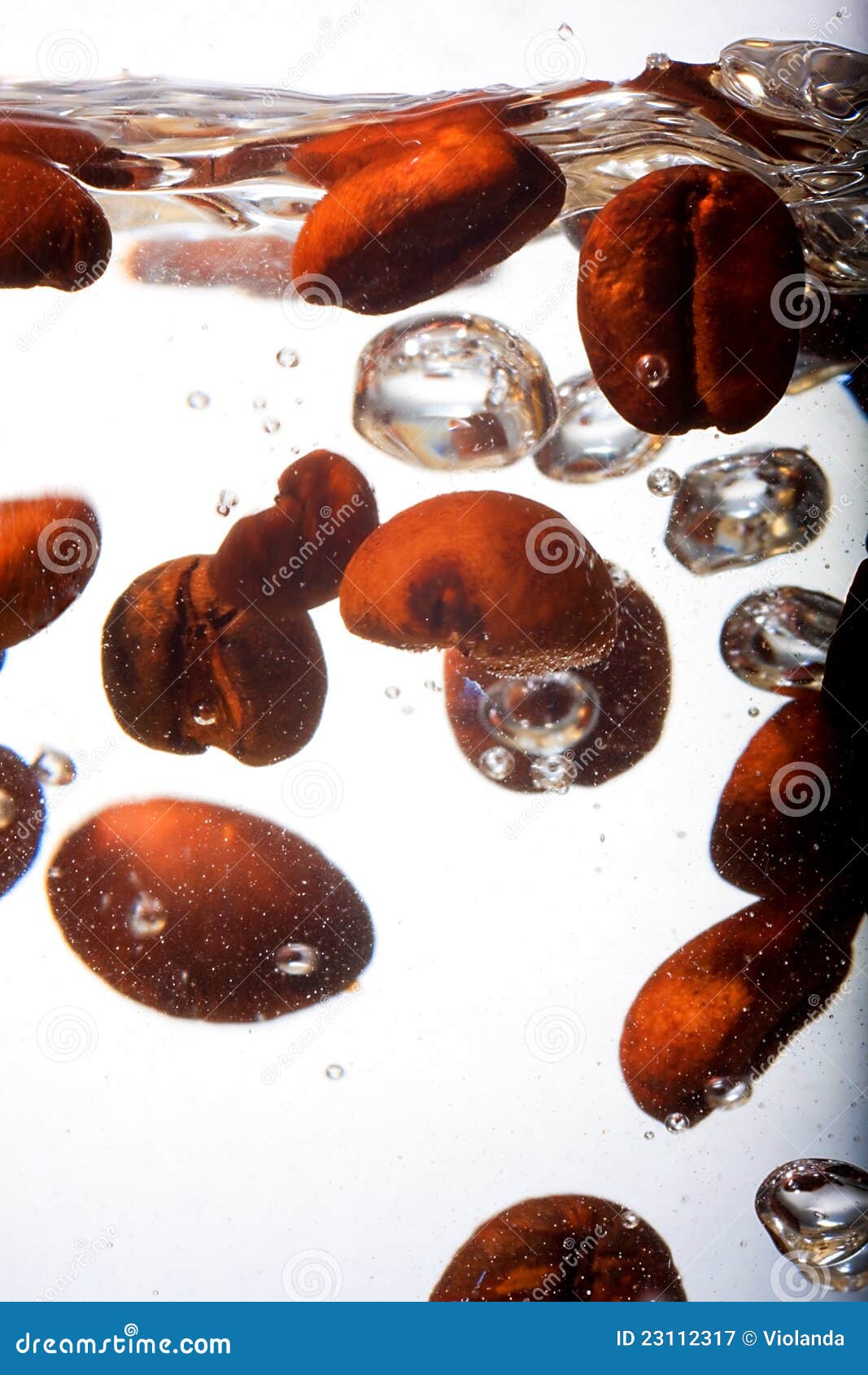 Coffee beans in water stock image. Image of macro, nice - 23112317