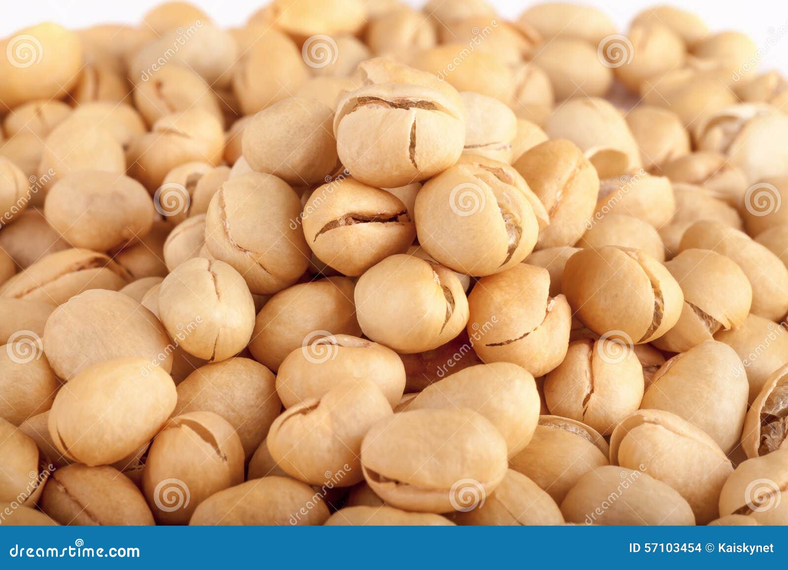 Coffee beans on a white stock photo. Image of natural - 57103454