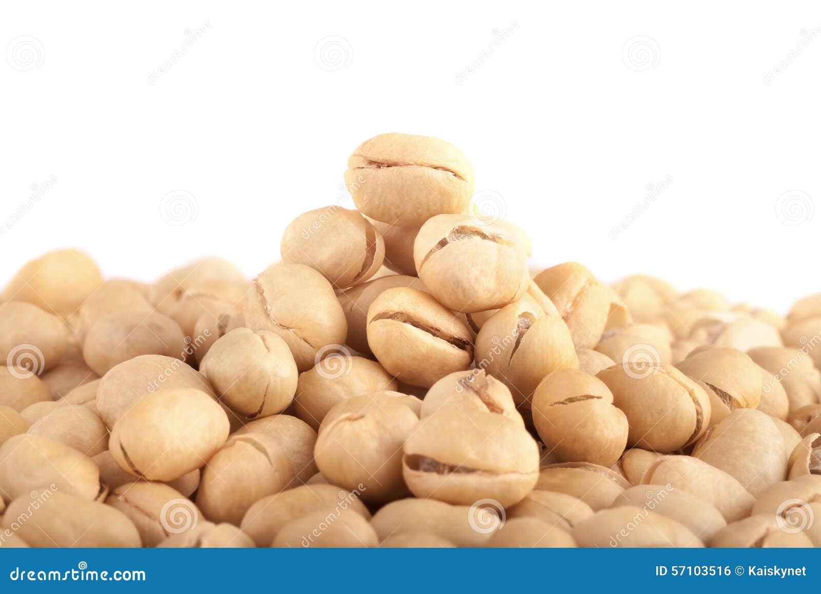 Coffee beans on a white stock photo. Image of isolated - 57103516