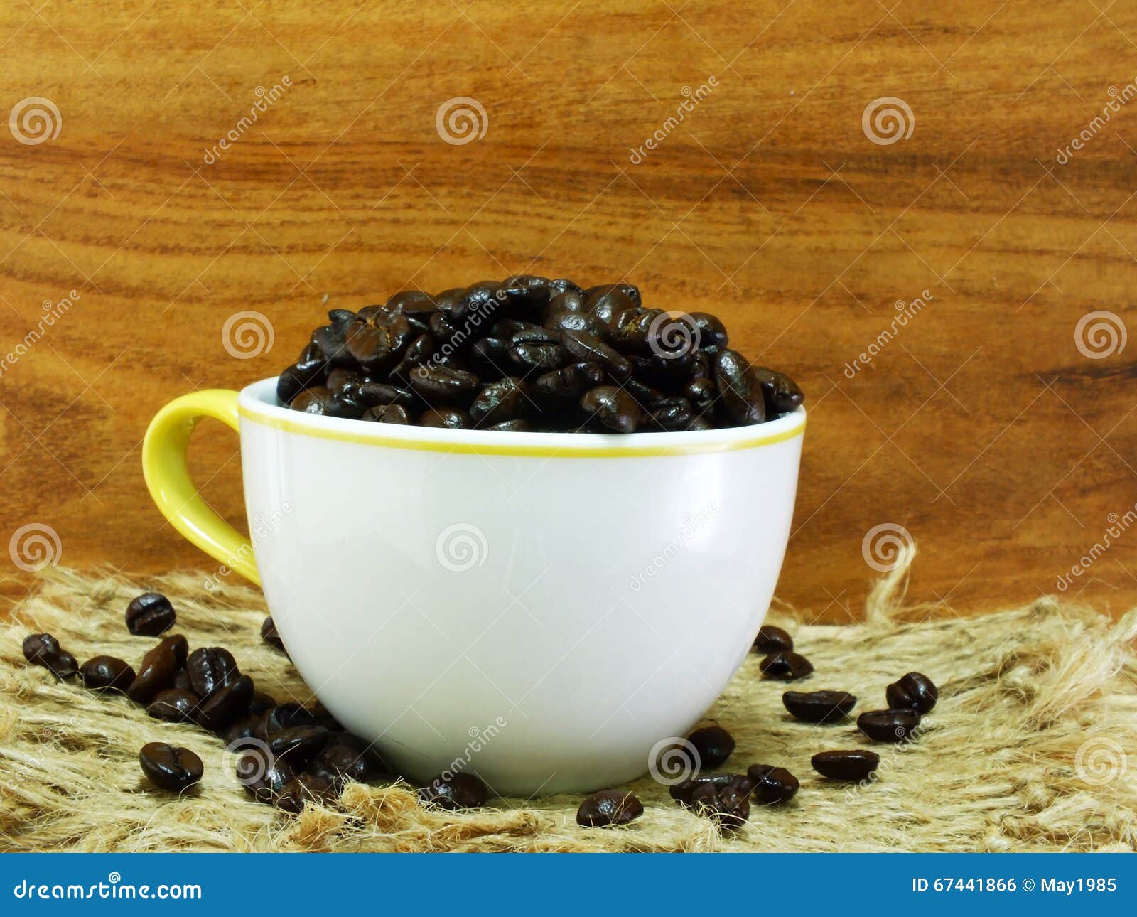 Kola Beans Stock Photos - Free & Royalty-Free Stock Photos from Dreamstime
