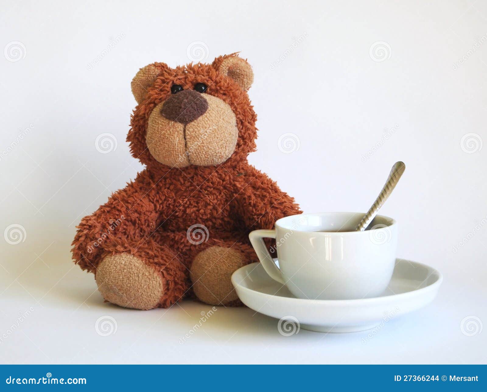 Coffee and bear stock photo. Image of gift, drink, coffee - 27366244