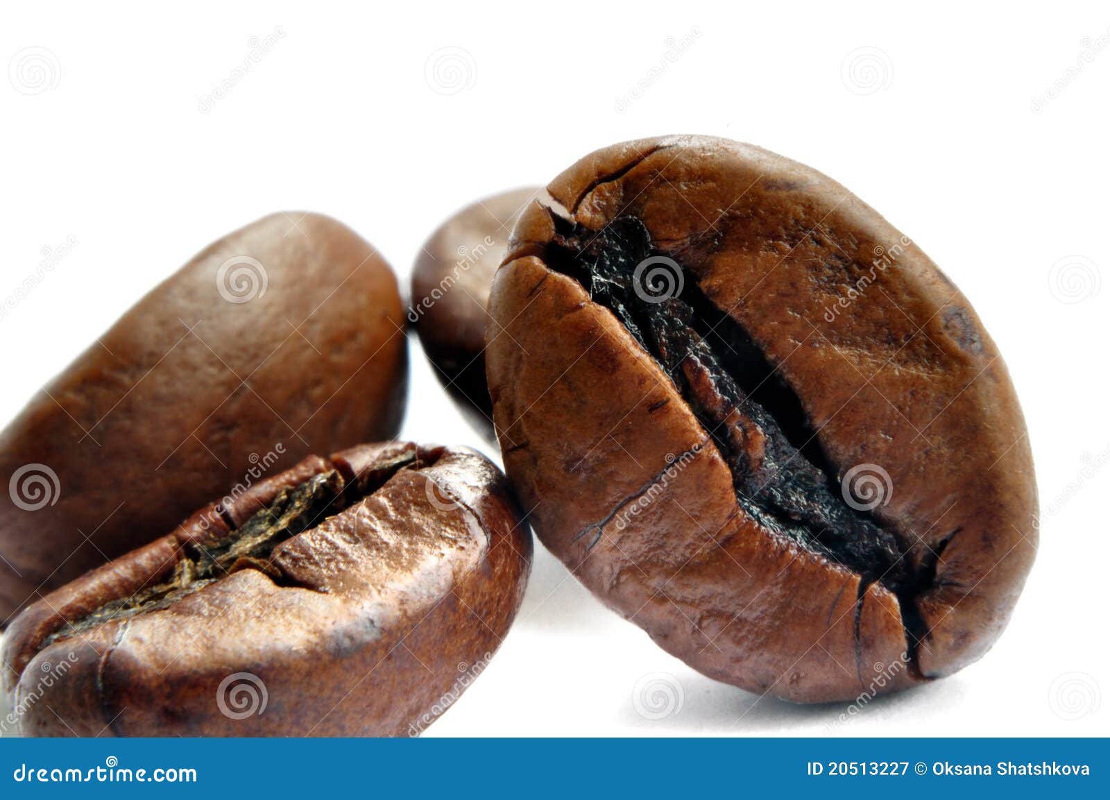 Coffee been stock image. Image of coffee, aroma, roast - 20513227