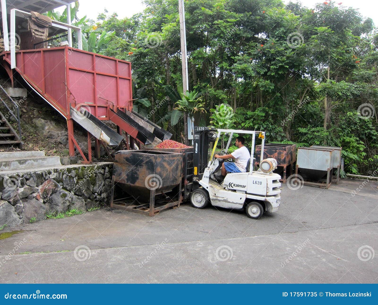 Coffee bin editorial image. Image of organic, island - 17591735