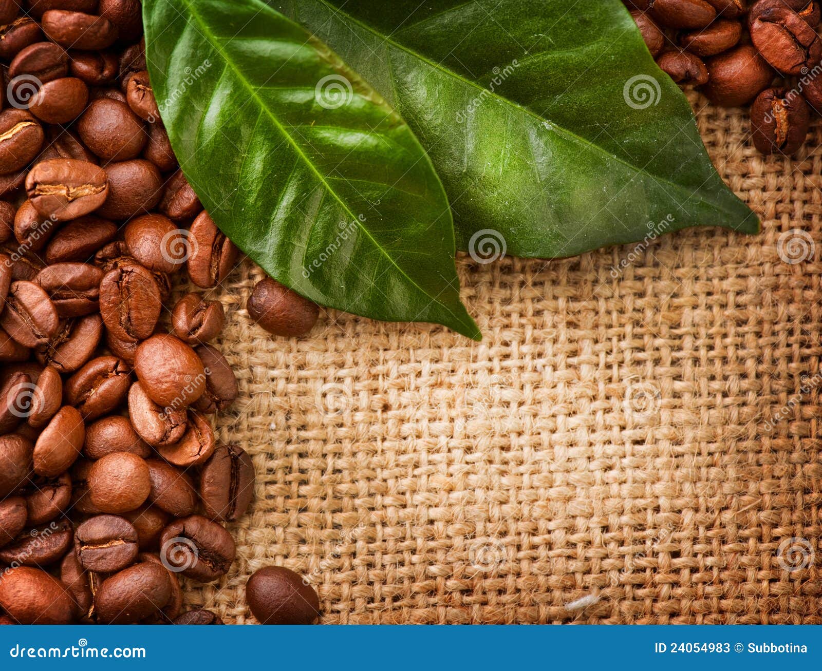 Coffee Border design stock image. Image of coffee, green - 24054983