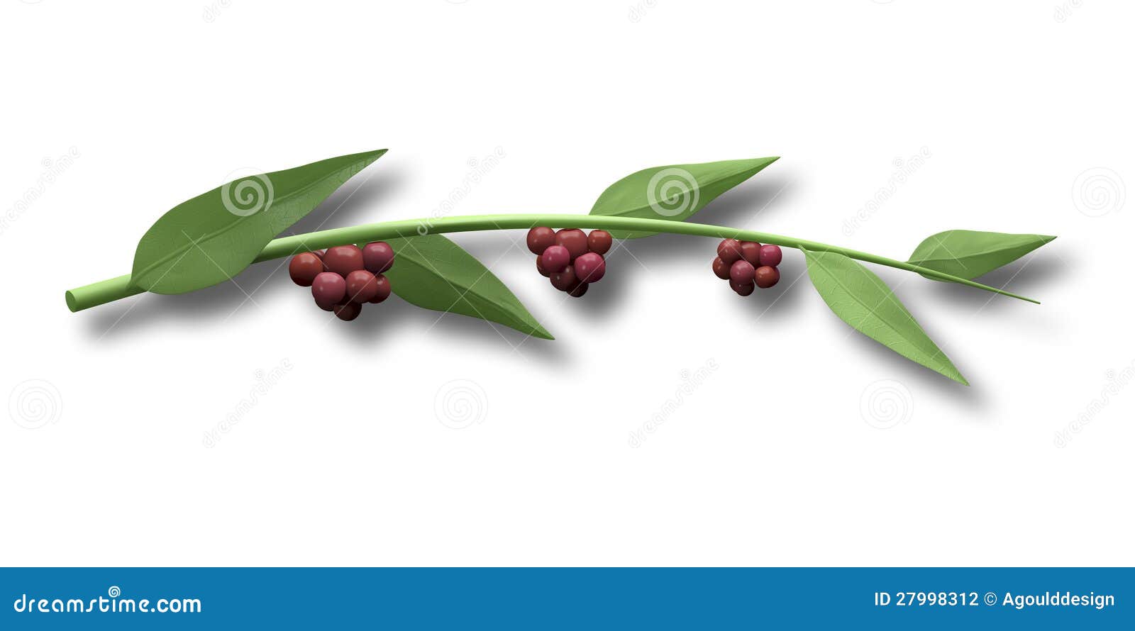 Coffee Bush Illustration, Drawing, Engraving, Ink, Line Art, Vector ...