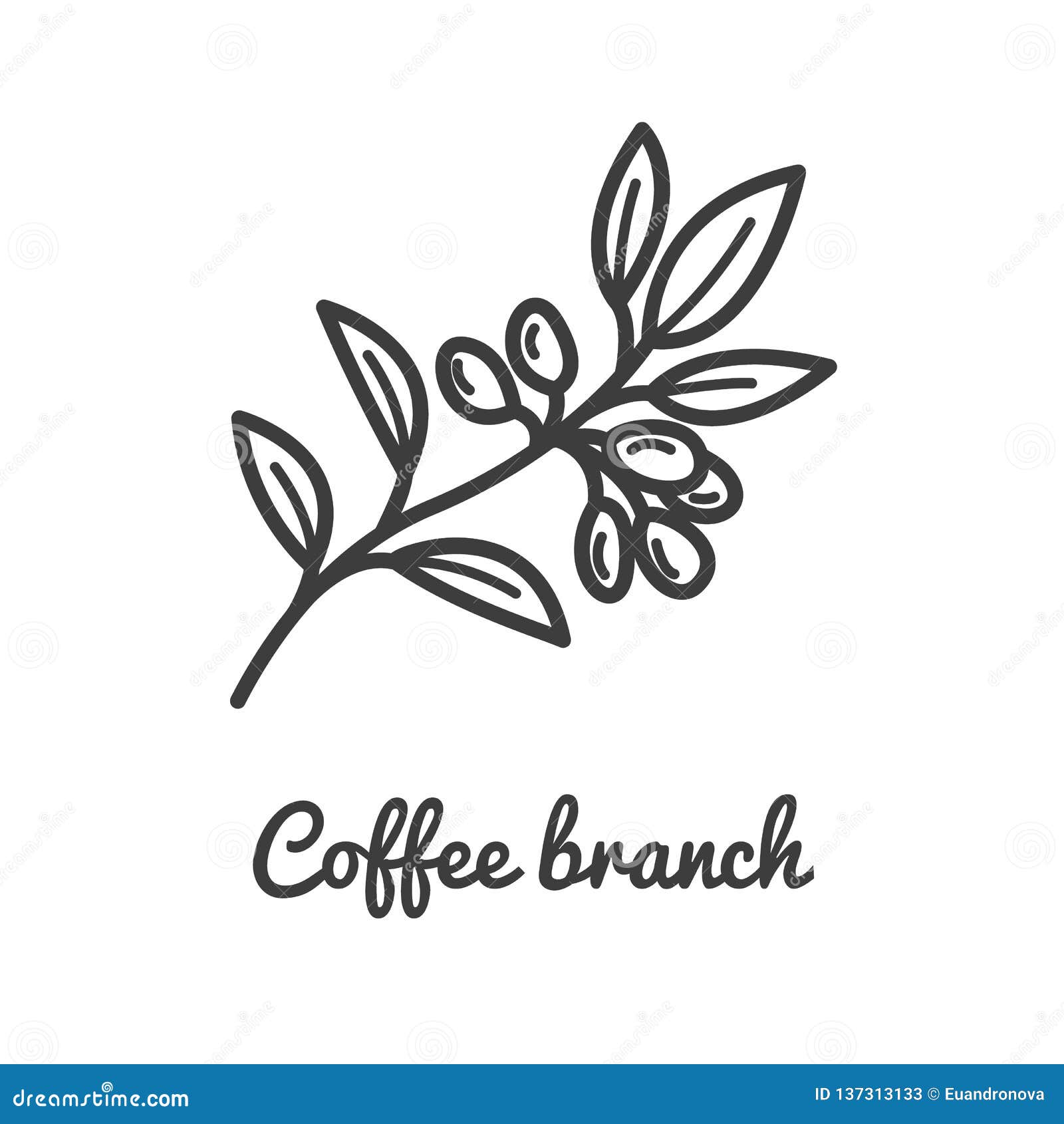 Coffee Branch Icon. Coffee Plant. Branch of Coffee Icon in Line Style ...
