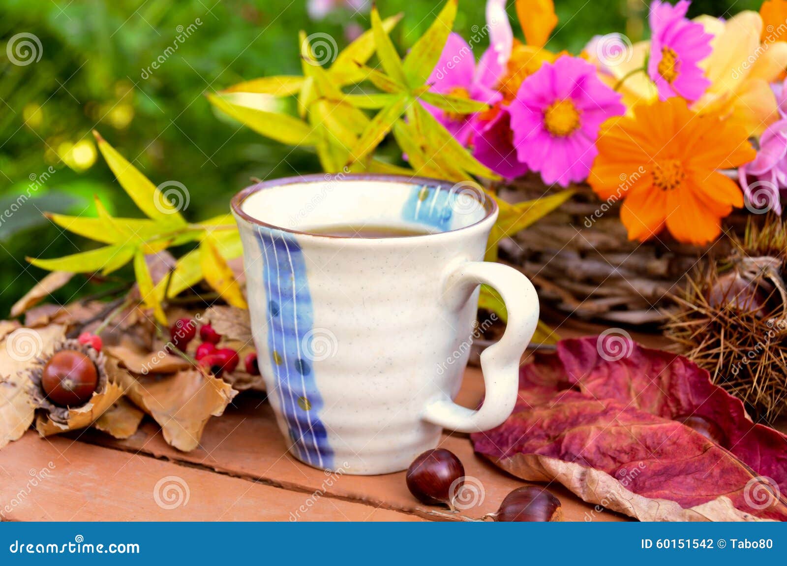 Coffee Break in Autumn Garden Stock Photo - Image of outdoor, fallen ...