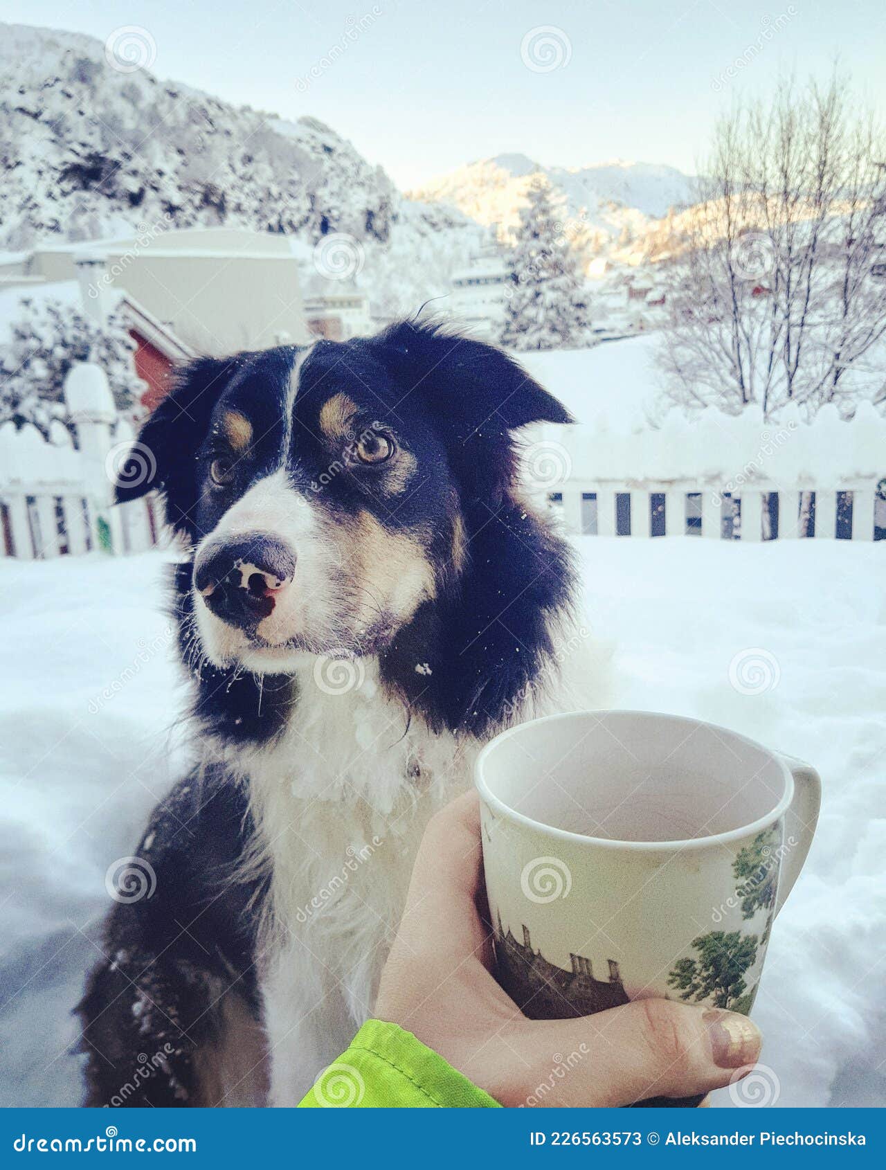 Coffee break with a dog stock image. Image of animal - 226563573
