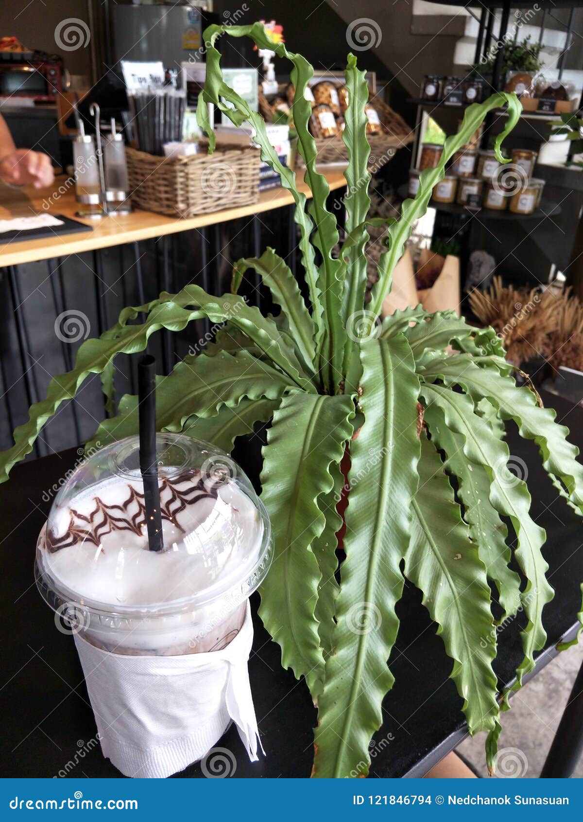 Coffee break stock photo. Image of nature, drinking - 121846794