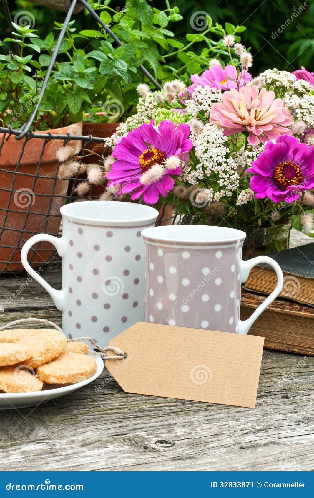 Coffee break stock image. Image of flowers, garden, biscuit - 32833871