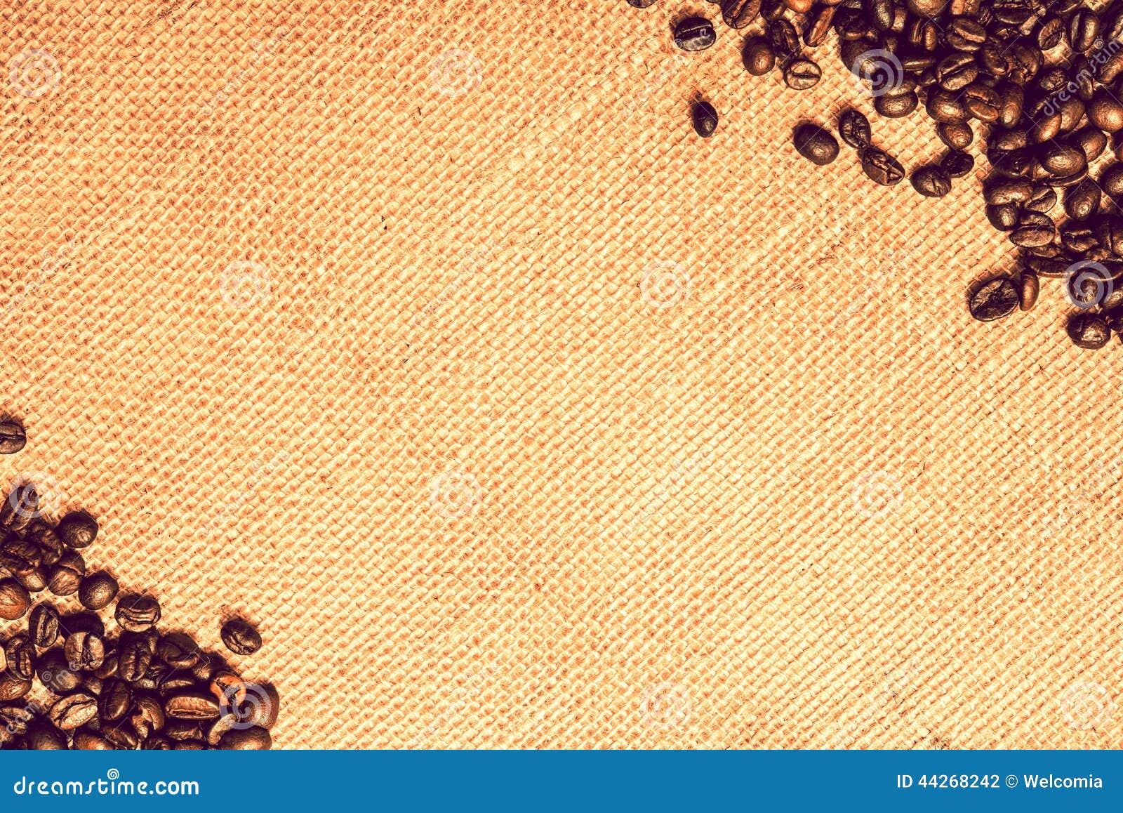 Coffee Canvas Backdrop stock photo. Image of taste, seed - 44268242