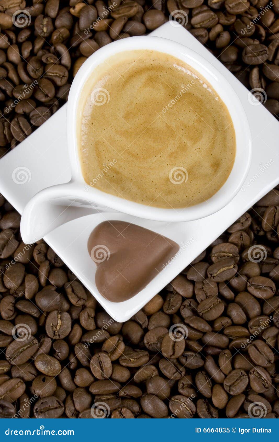Coffee and chocolate stock image. Image of white, candy - 6664035