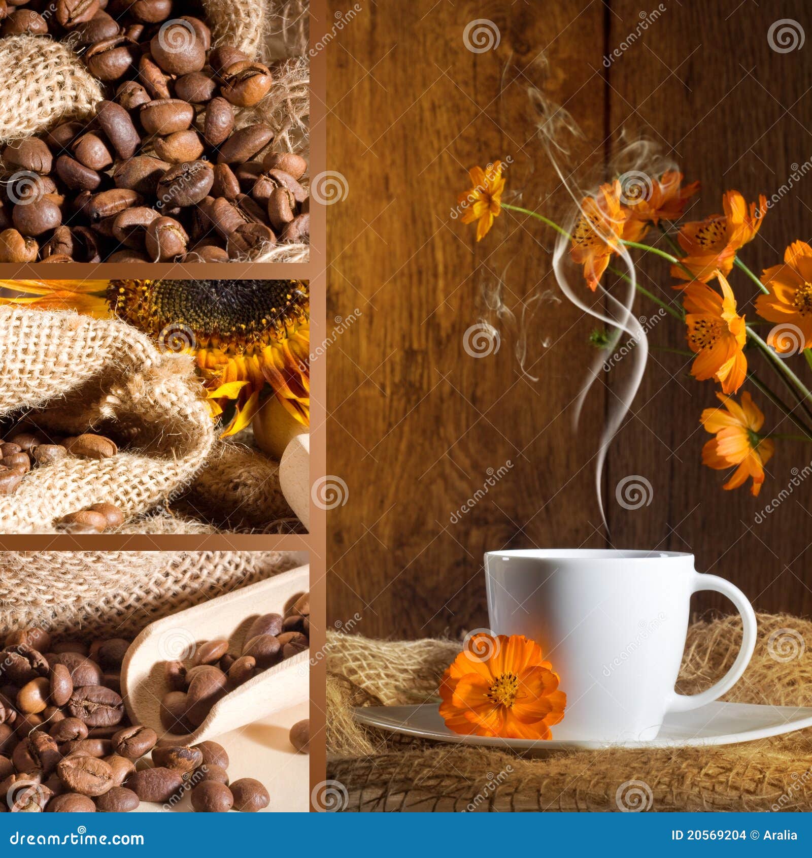 Coffee collage stock photo. Image of drink, caffeine - 20569204