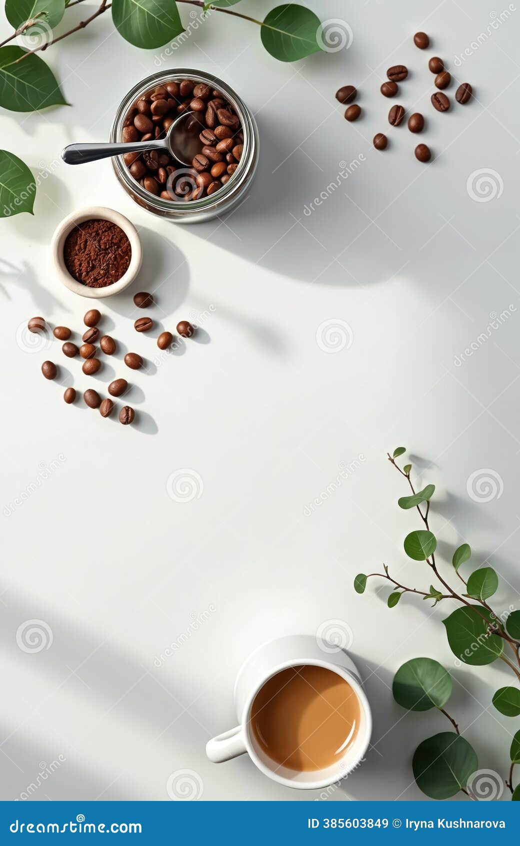 Grey Beans Or Pods Closeup Of Siris Or Albizia Julibrissin Tree ...