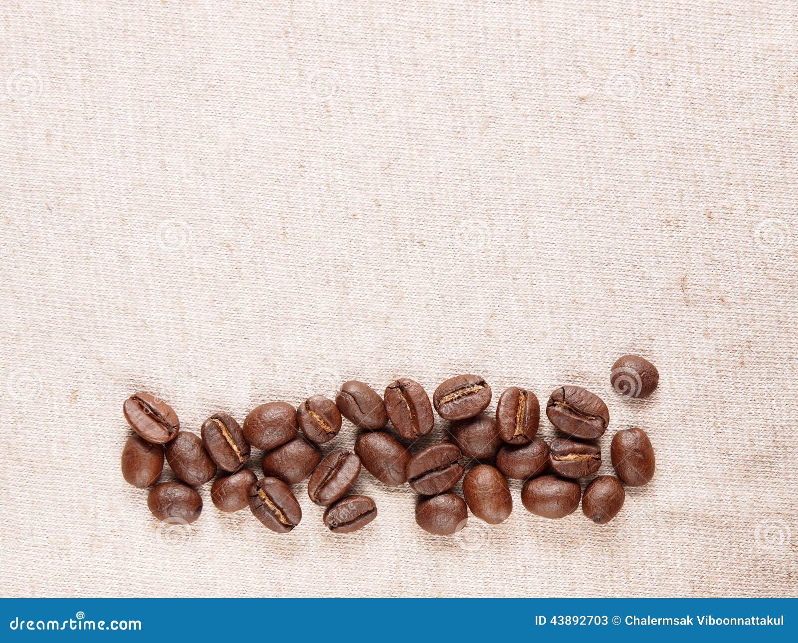 Coffee Crop Beans on Fabric Textile Stock Image - Image of cook ...
