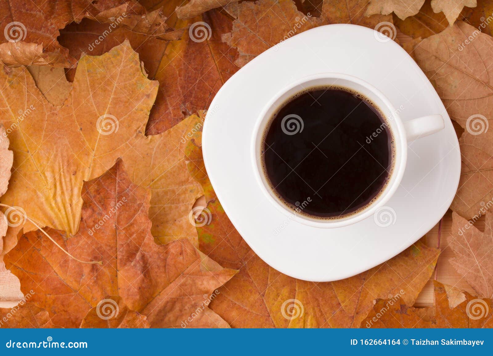 Coffee Cup on the Autumn Fall Leaves Stock Photo - Image of design ...