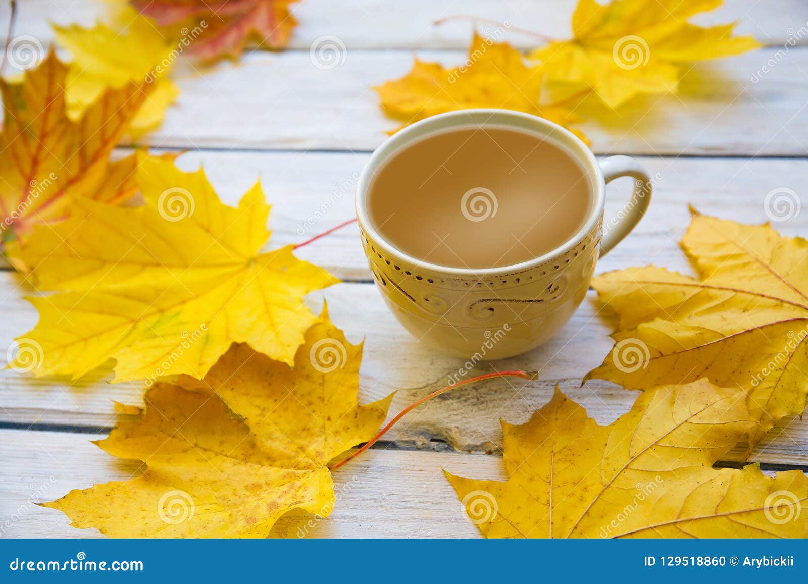 Coffee Cup with Autumn Leaves Stock Photo - Image of copy, comfort ...