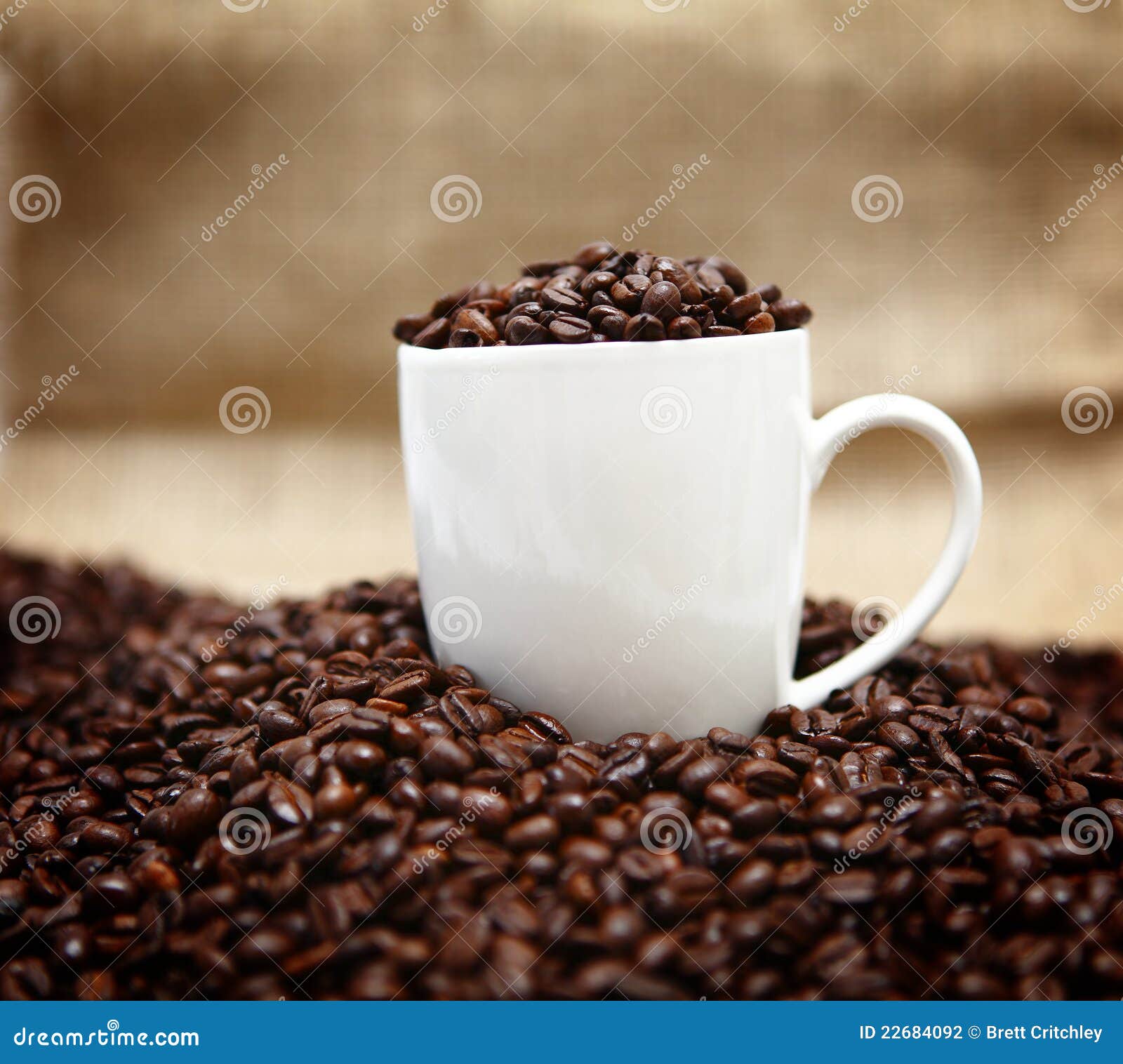 Coffee cup and beans stock photo. Image of coffee, natural - 22684092