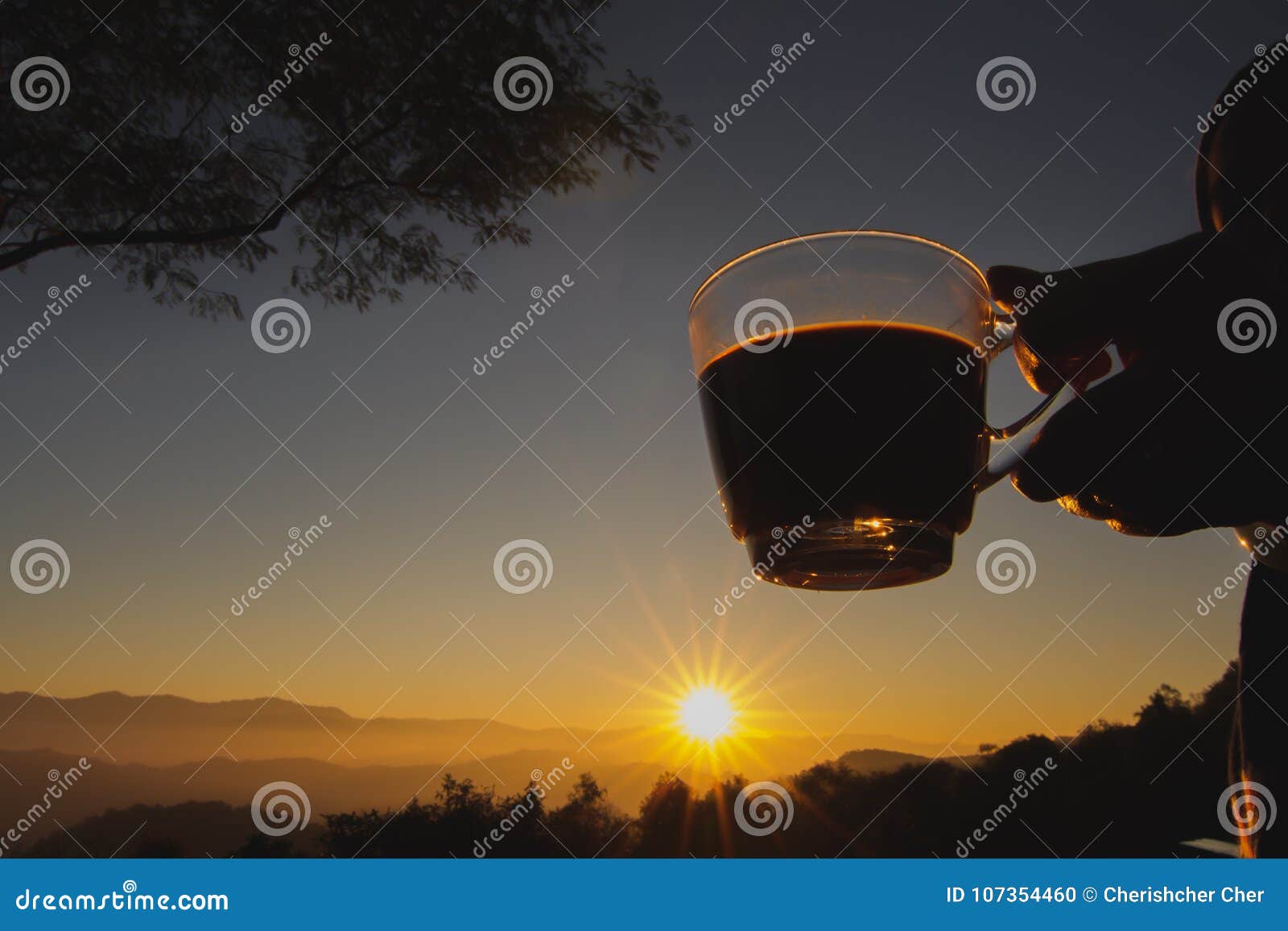 Coffee Cup with Morning Sun Stock Photo - Image of food, landscape ...