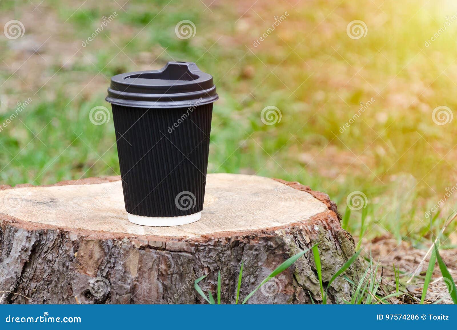 Coffee Cup Stands on Stump. Concept Bright Start of Day Stock Photo ...