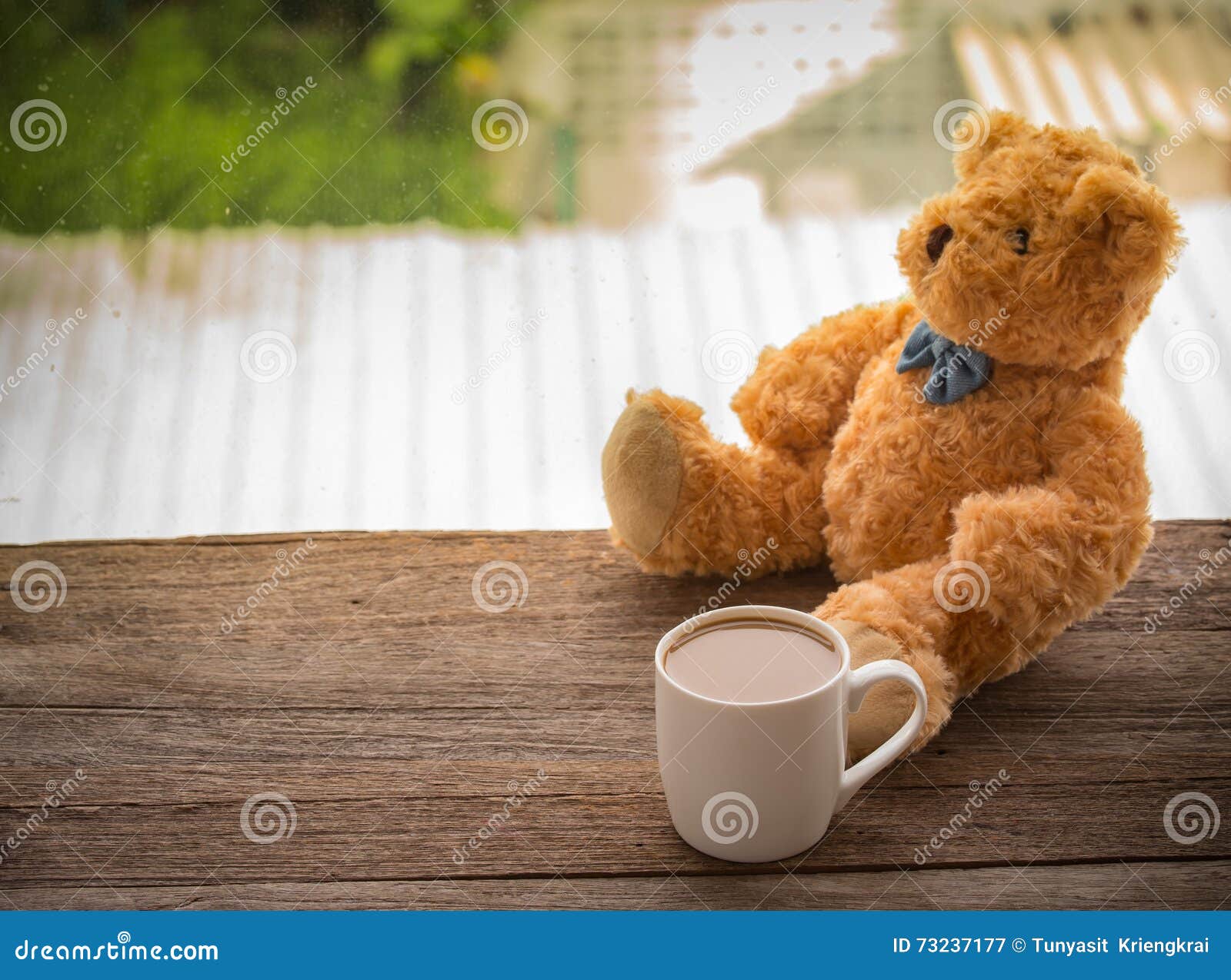 Coffee Cup and Teddy Bears, Stock Image - Image of bears, sitting: 73237177