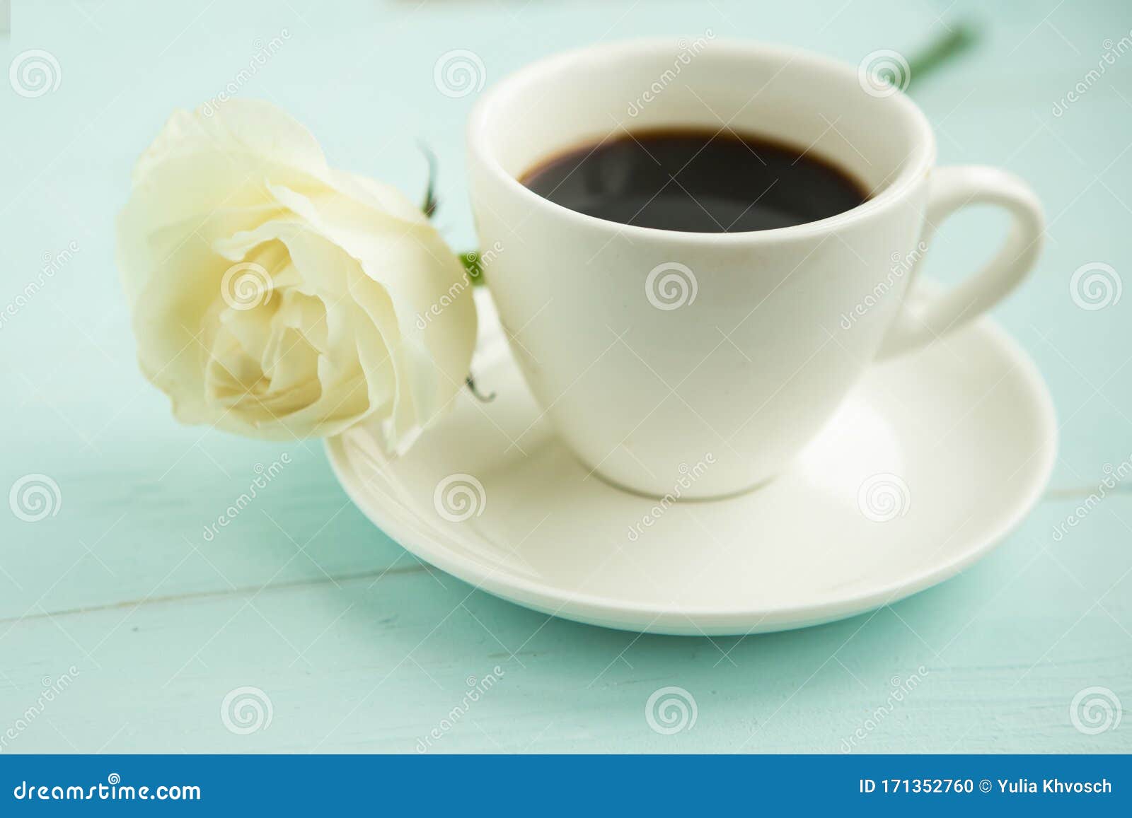 Coffee cup and white rose stock photo. Image of 14th - 171352760