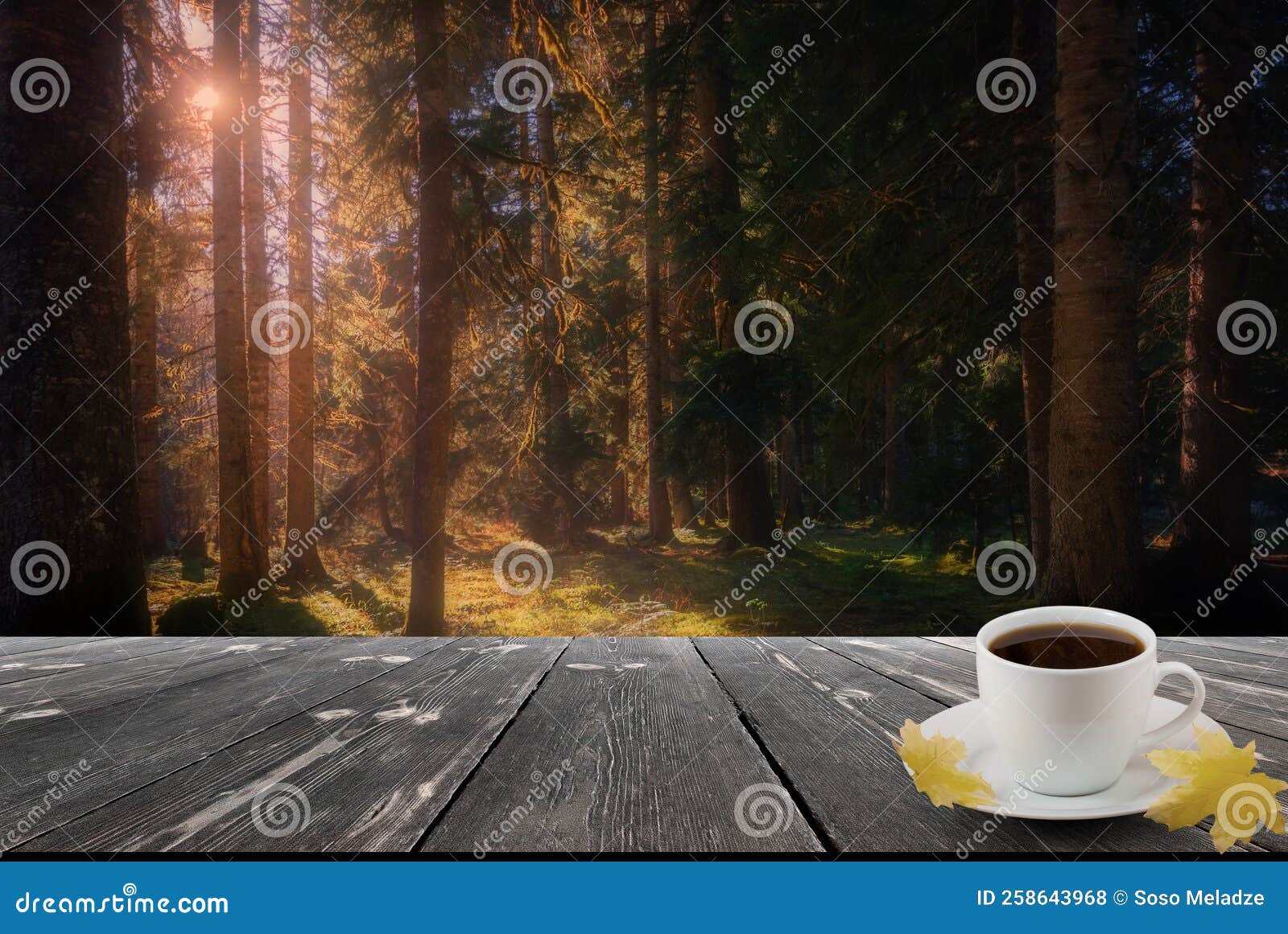 Coffee Cup on Wood Table and View of Beautiful Nature Background Stock ...