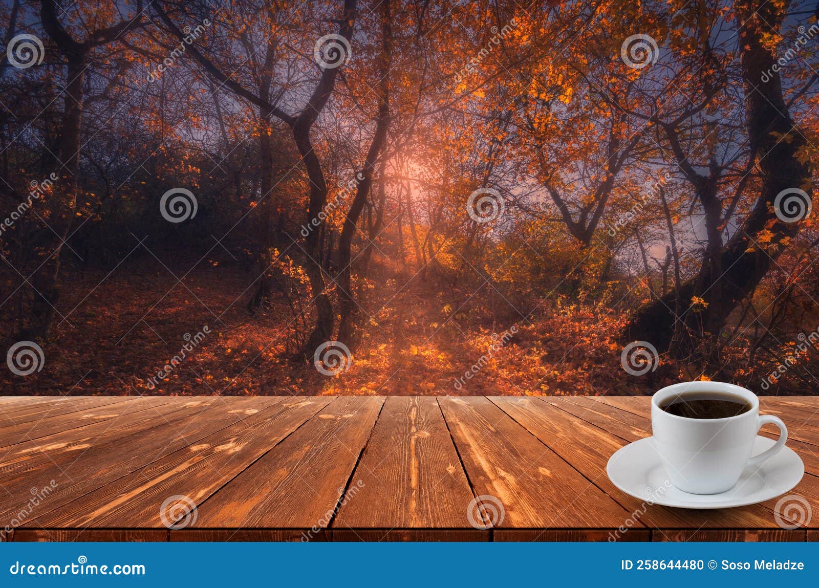 Coffee Cup on Wood Table and View of Beautiful Nature Background Stock ...