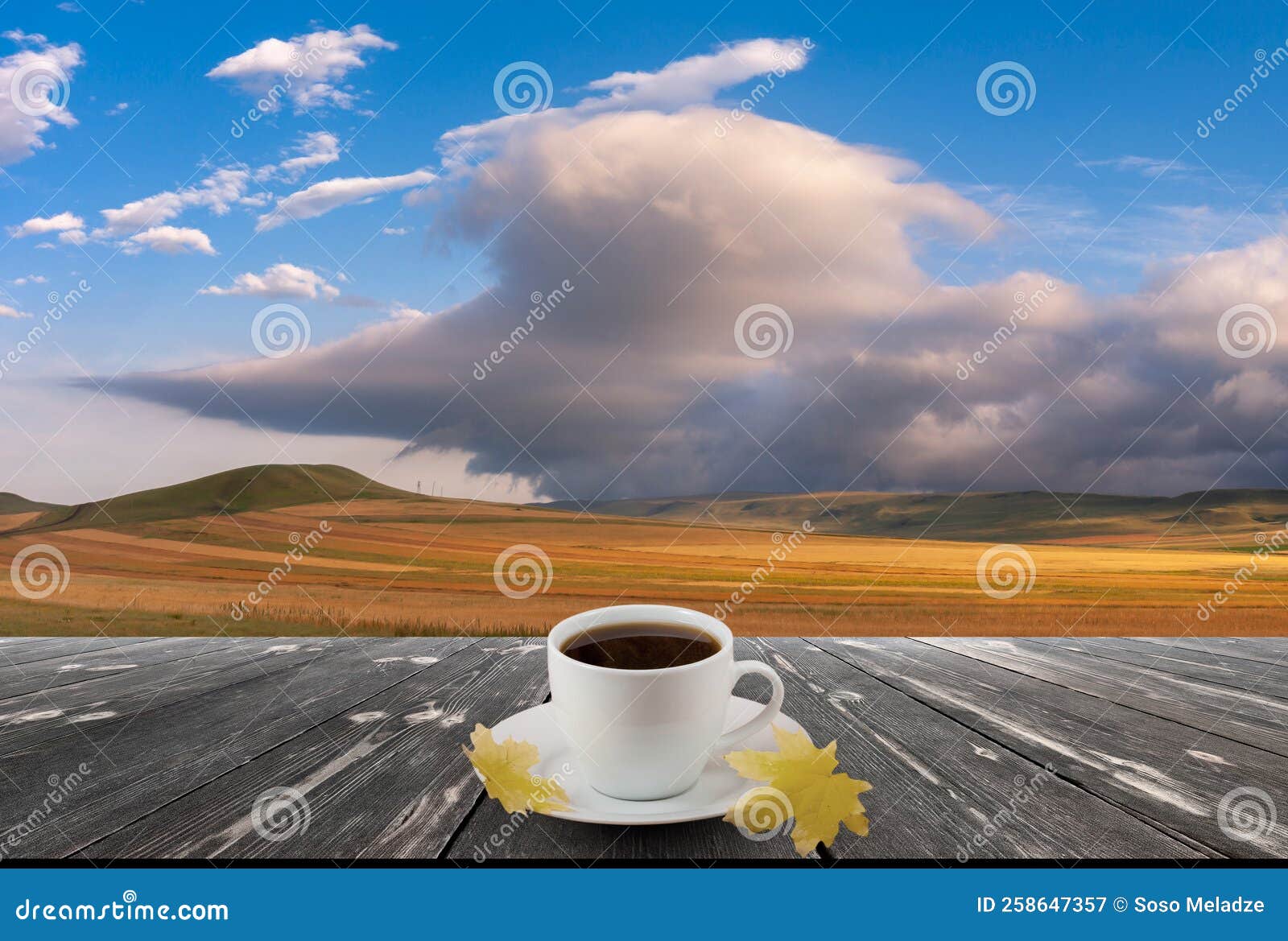 Coffee Cup on Wood Table and View of Beautiful Nature Background Stock ...