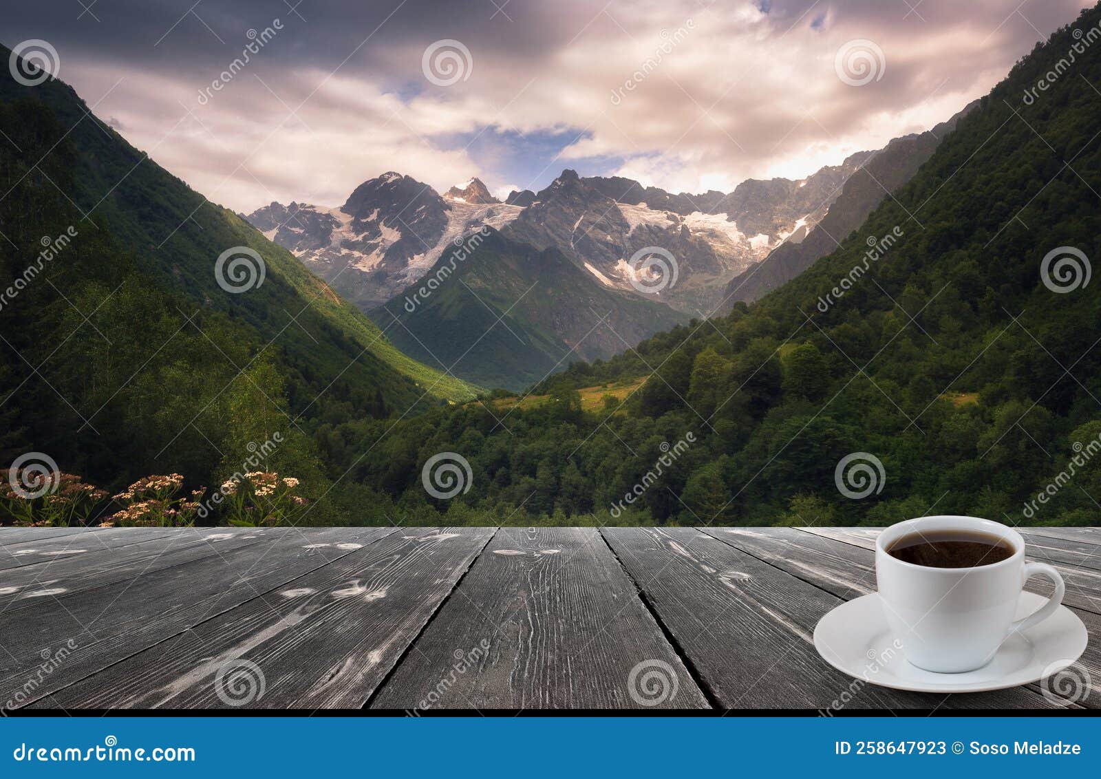 Coffee Cup on Wood Table and View of Beautiful Nature Background Stock ...