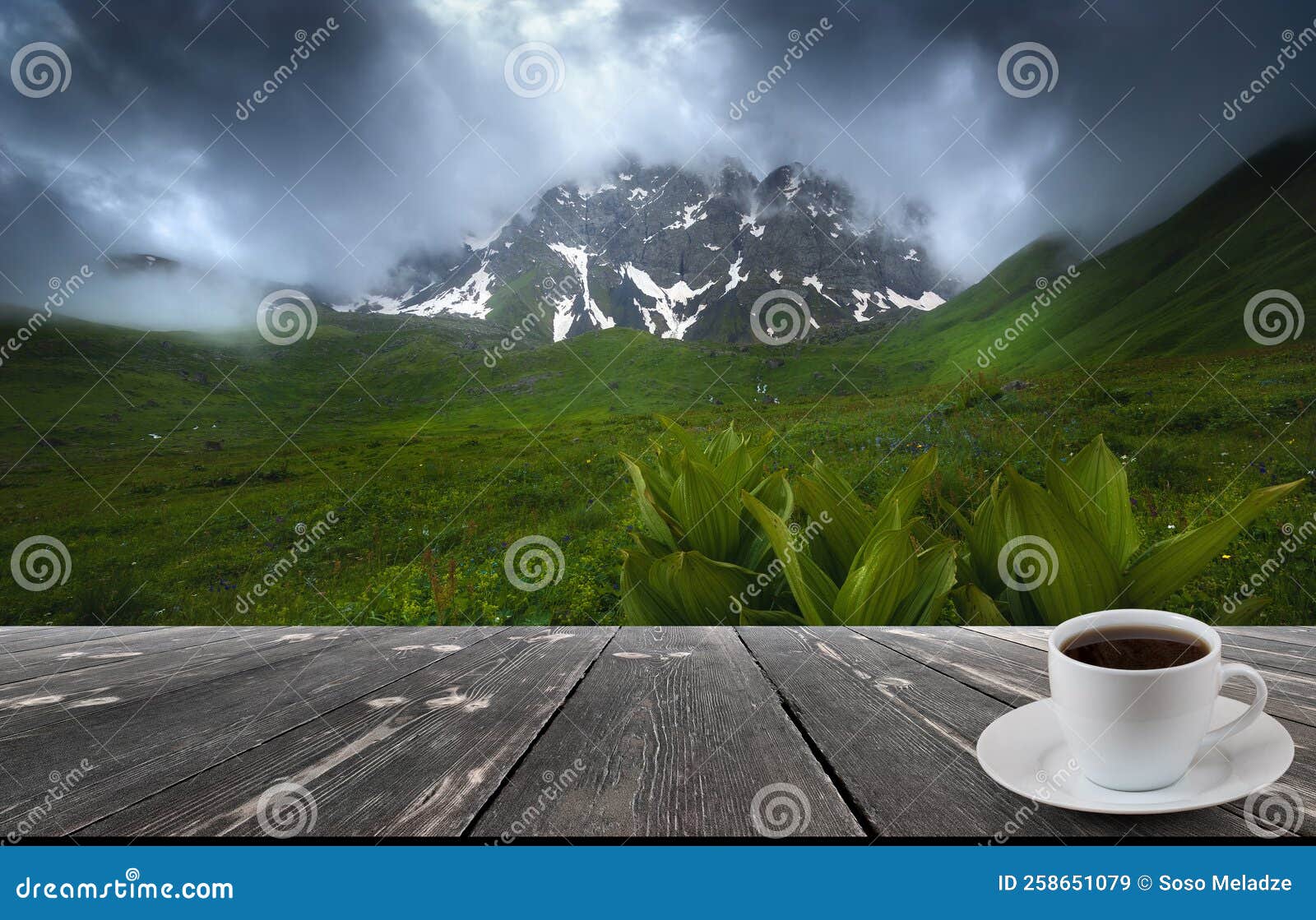 Coffee Cup on Wood Table and View of Beautiful Nature Background Stock ...