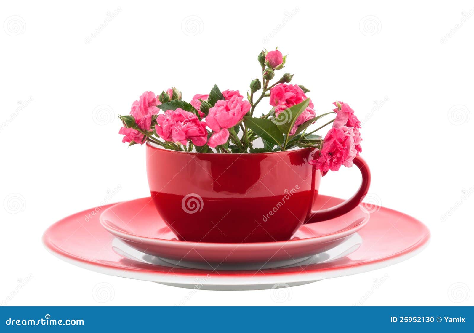 Coffee Cups with Pink Roses Stock Photo - Image of equipment, vibrant ...