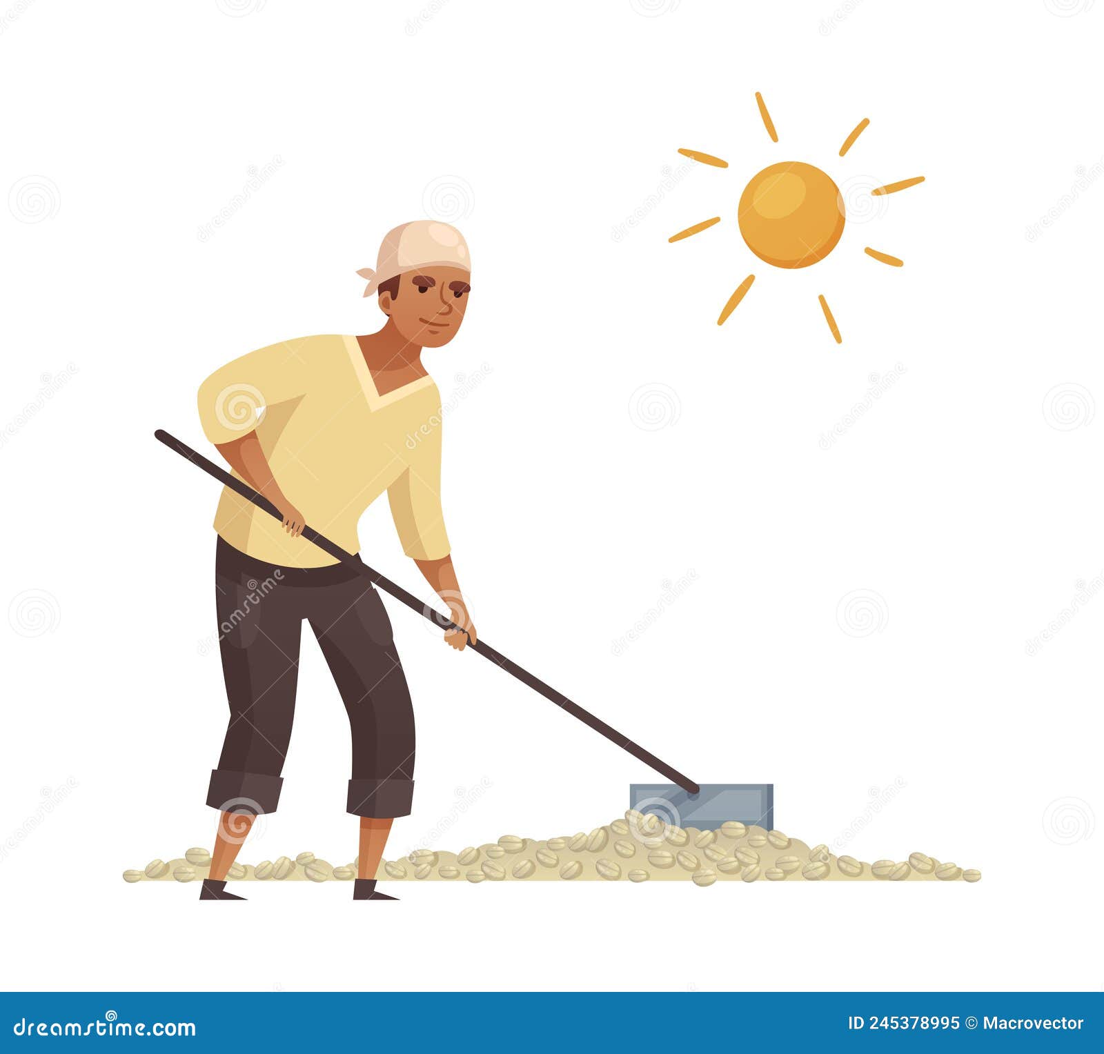 Coffee Drying Illustration stock vector. Illustration of industrial ...