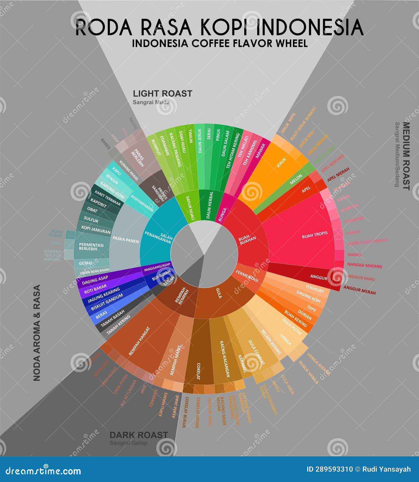 Coffee Flavor Wheel stock illustration. Illustration of coffee - 289593310