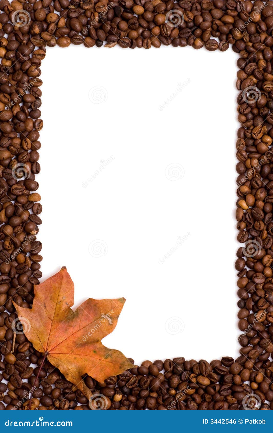 Coffee frame stock photo. Image of frame, heap, burn, grain - 3442546
