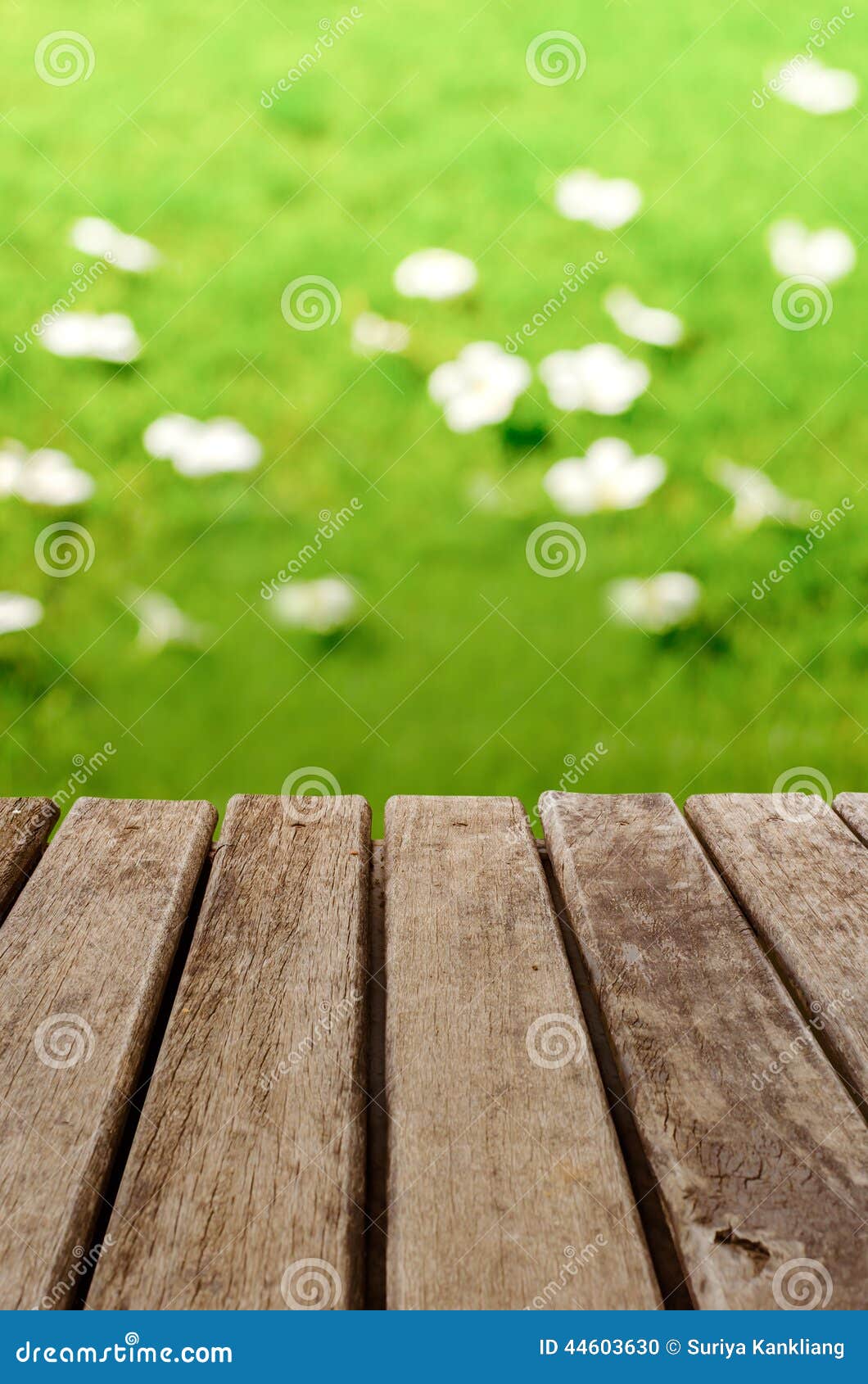 Coffee in garden stock photo. Image of garden, drink - 44603630