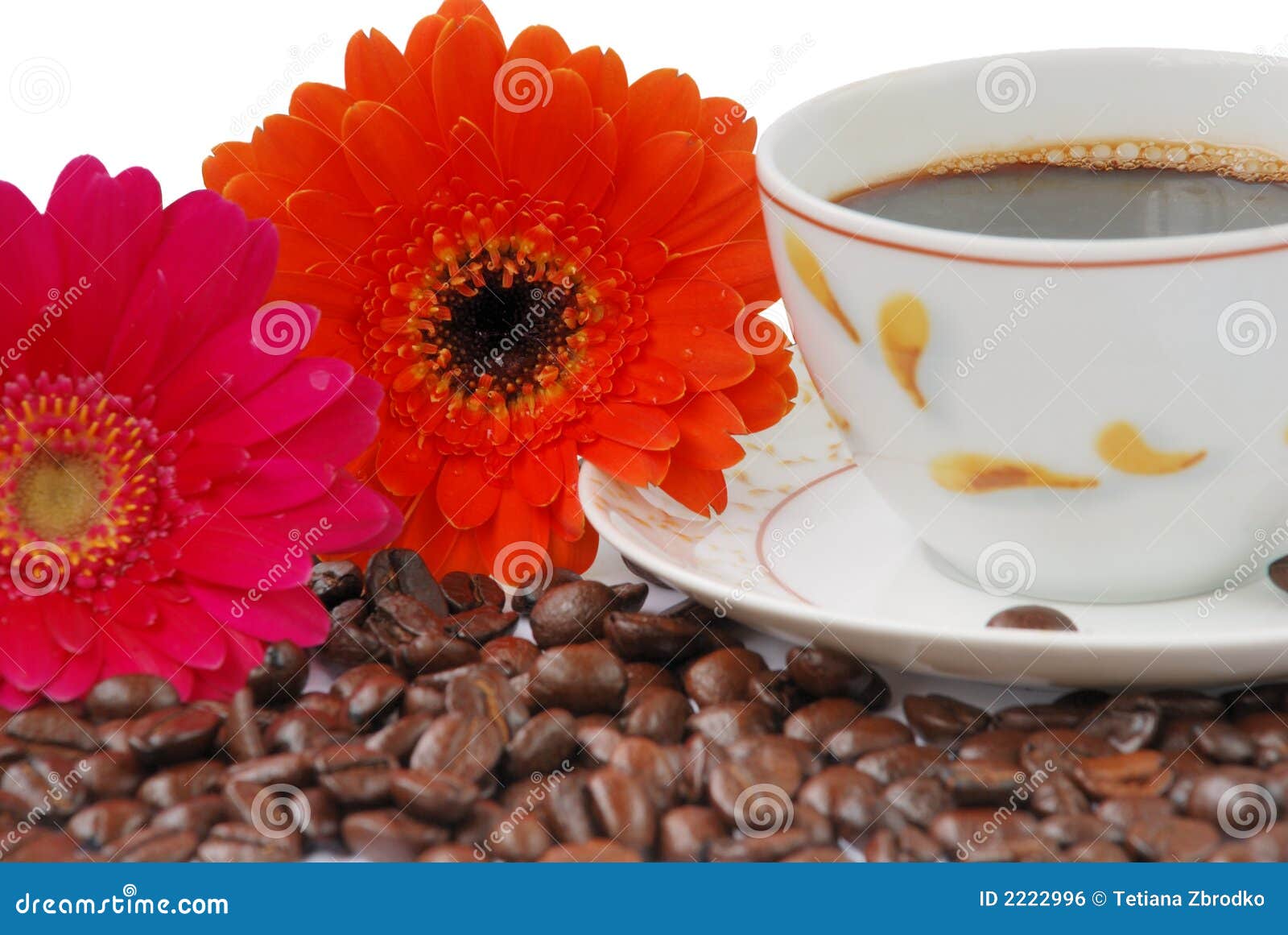 Coffee with gerbers stock photo. Image of beans, breakfast - 2222996