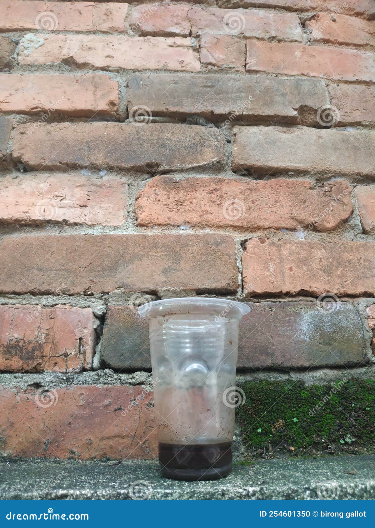 The coffee is gone stock photo. Image of trunk, floor - 254601350