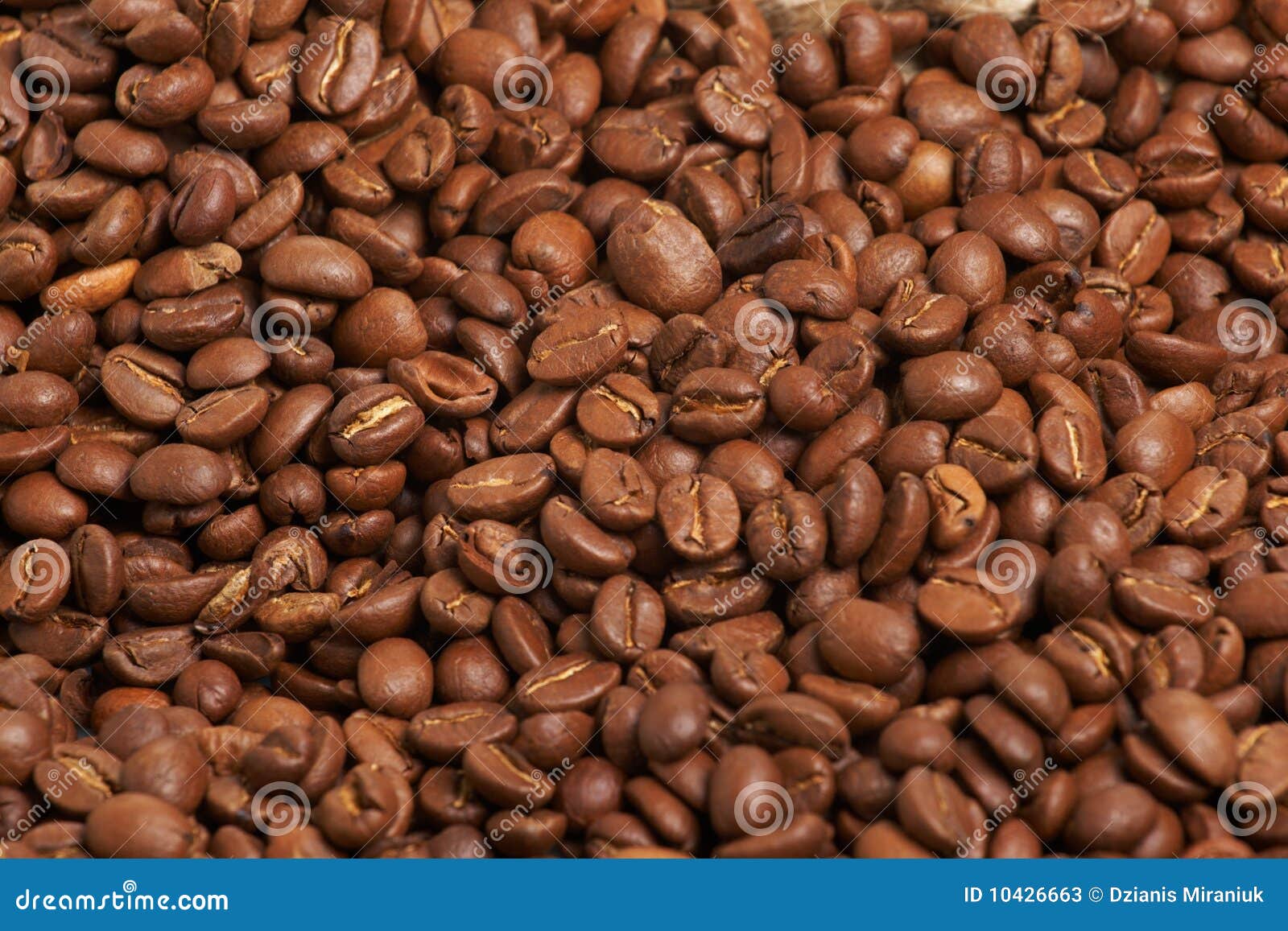 Coffee grain stock image. Image of texture, harvest, brown - 10426663