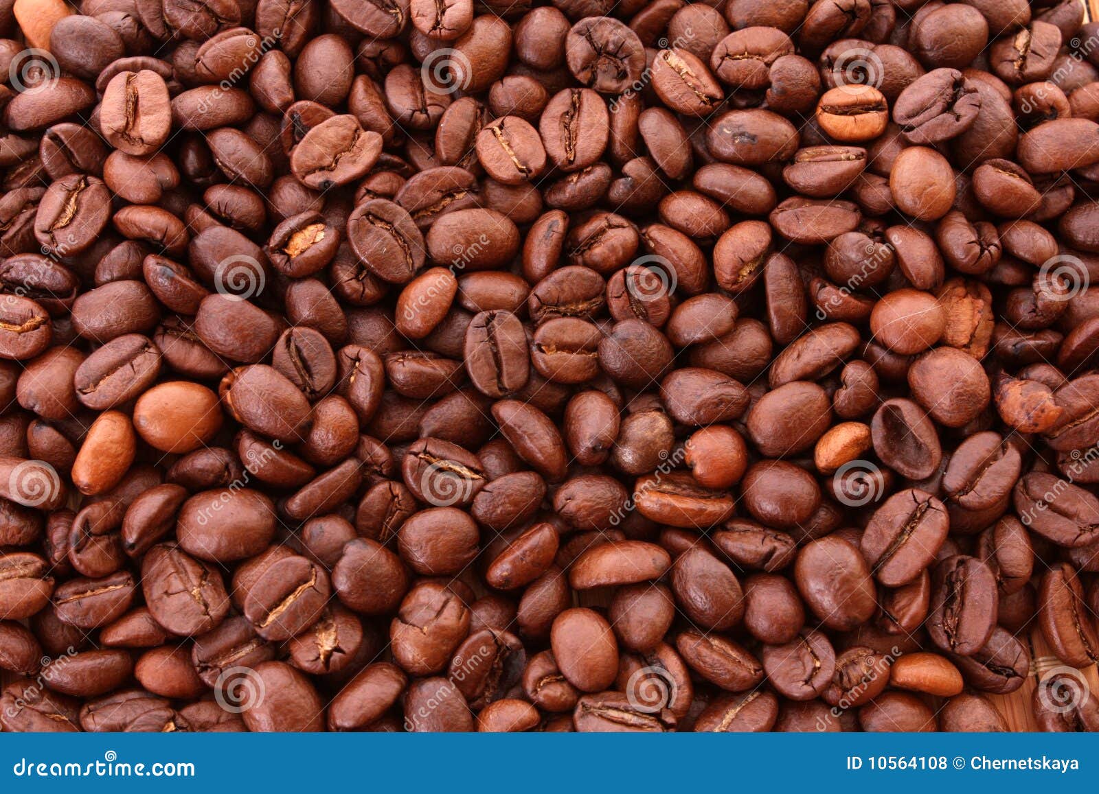 Coffee grain stock photo. Image of caffeine, oval, pile - 10564108