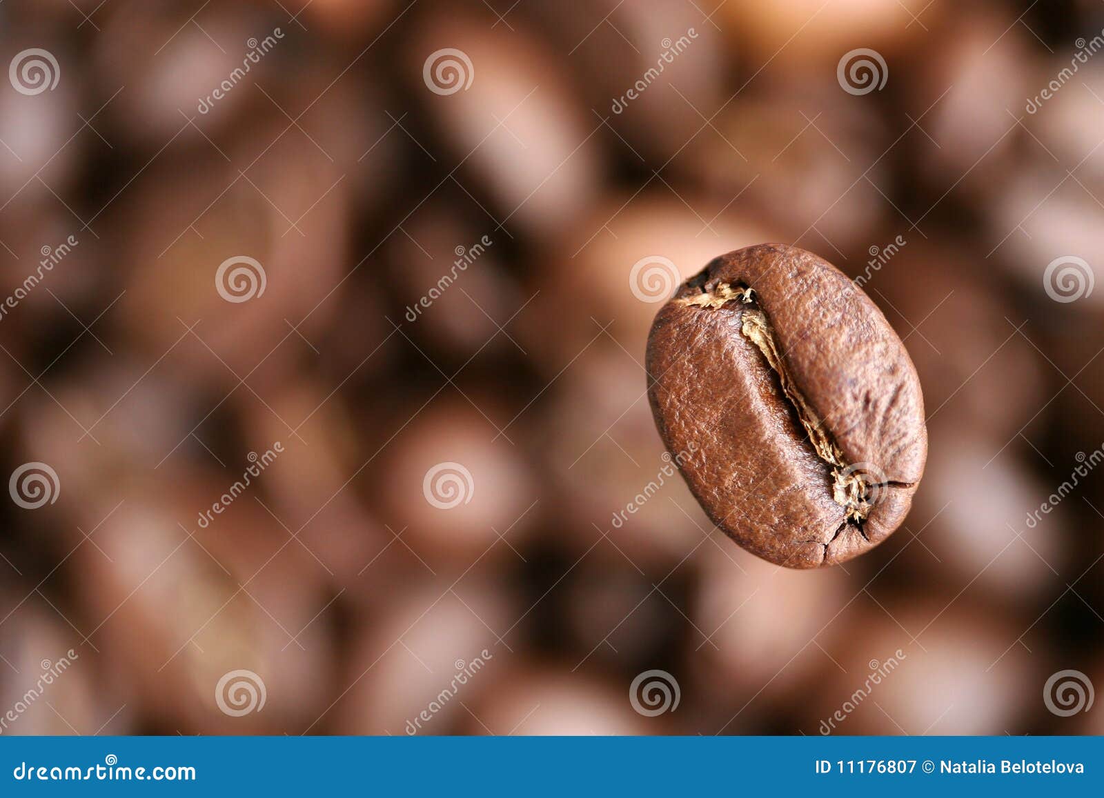 Coffee grain stock image. Image of roast, espresso, brown - 11176807