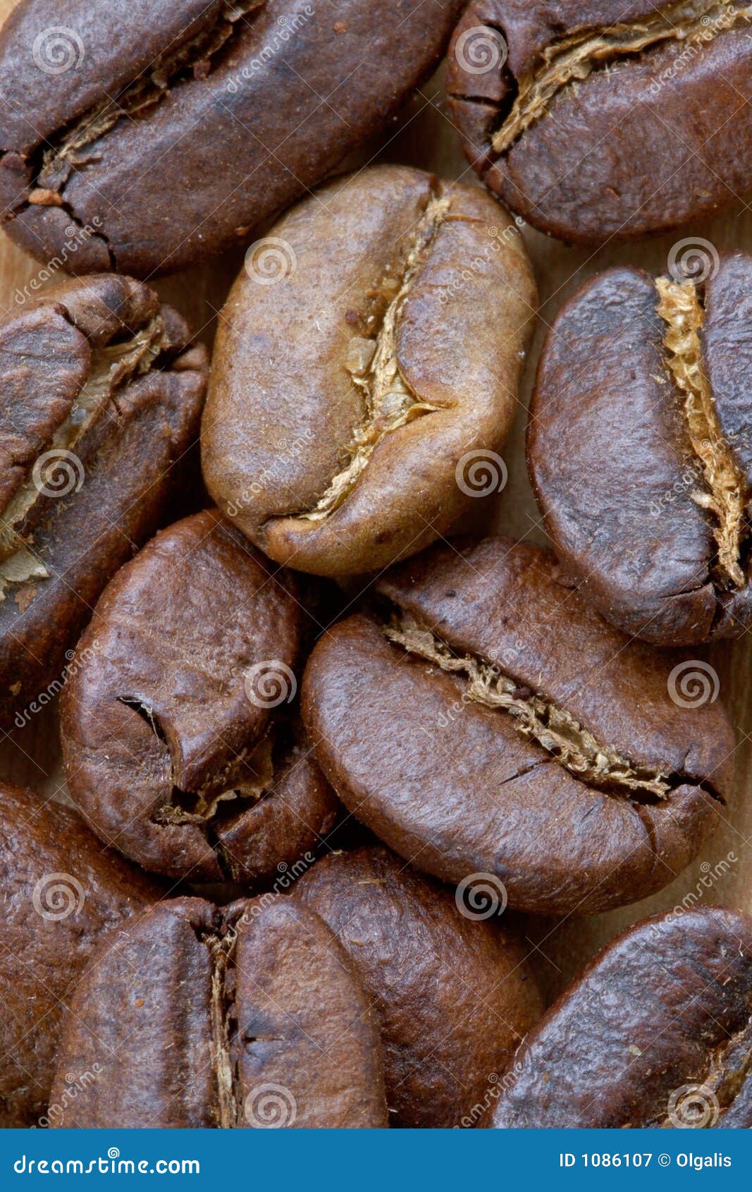 Coffee grains stock image. Image of brewed, columbian - 1086107